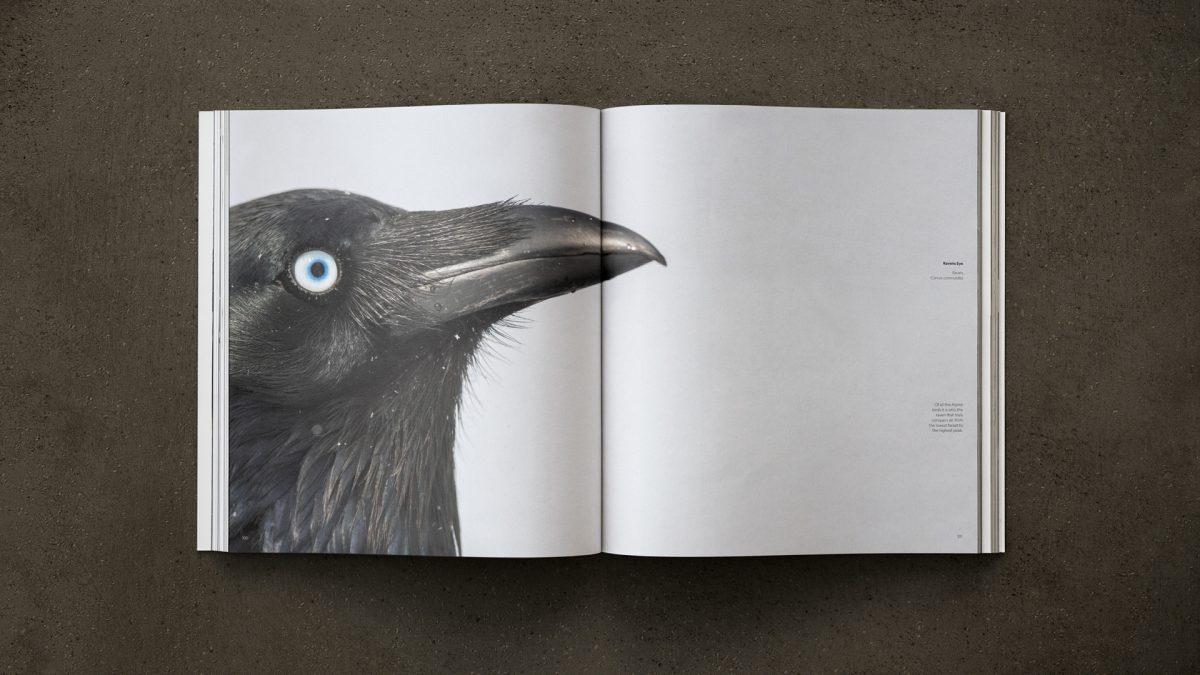 KUNAMA | Editorial and Illustration by Alphabet Studio